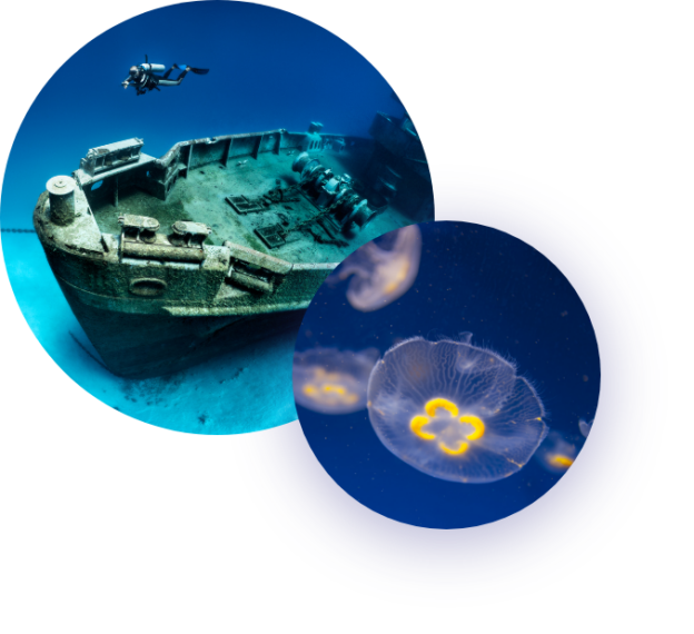 Powering Microelectronic Devices in the Deep Sea | City Labs