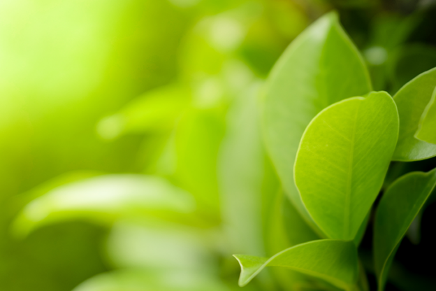 Advancing Clean Nuclear Energy With Tritium Batteries